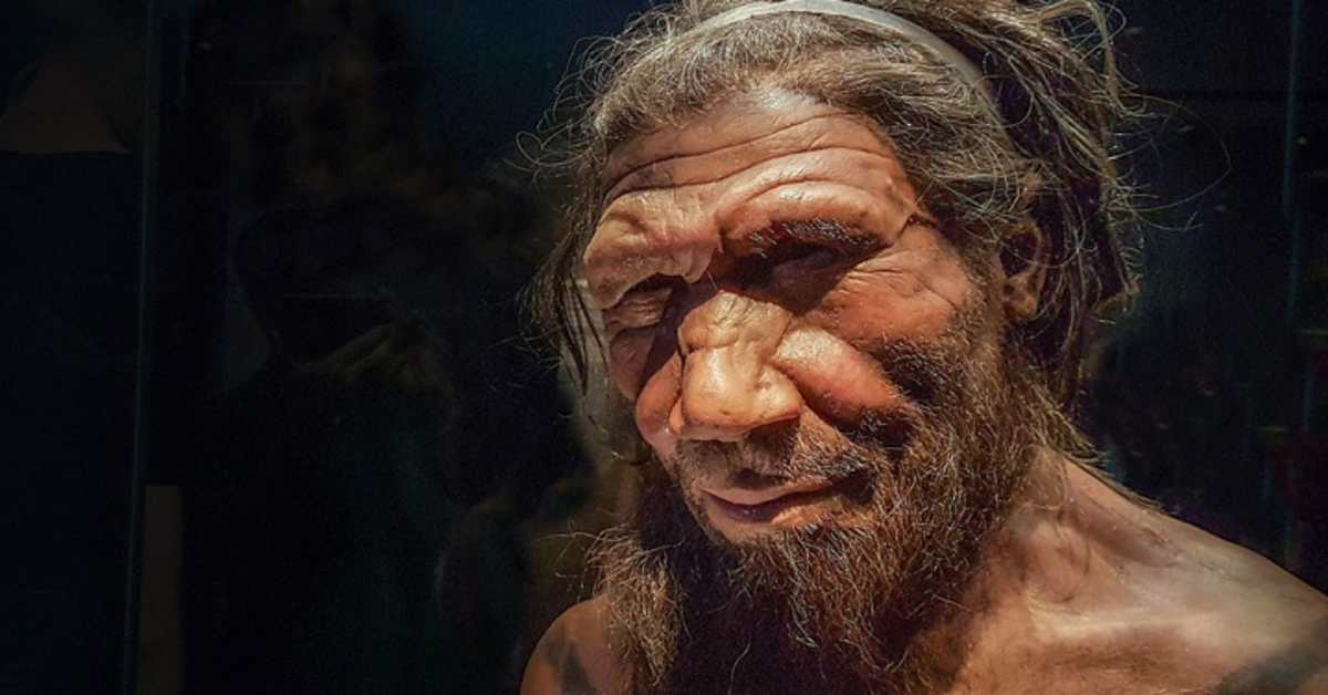 Culture Not Only Tool for Defining Homo sapiens in Relation to Other ...
