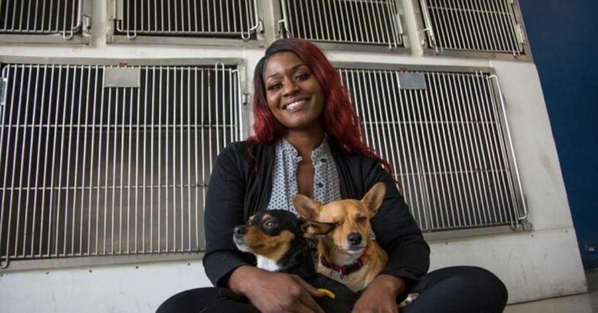 A Comprehensive Look at Pet Sitting Insurance - LA Progressive