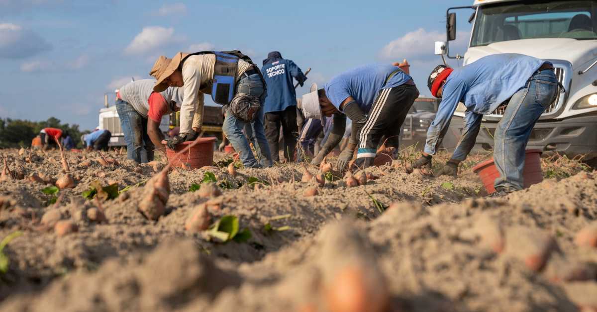 The Injustice Farm Workers Face - LA Progressive