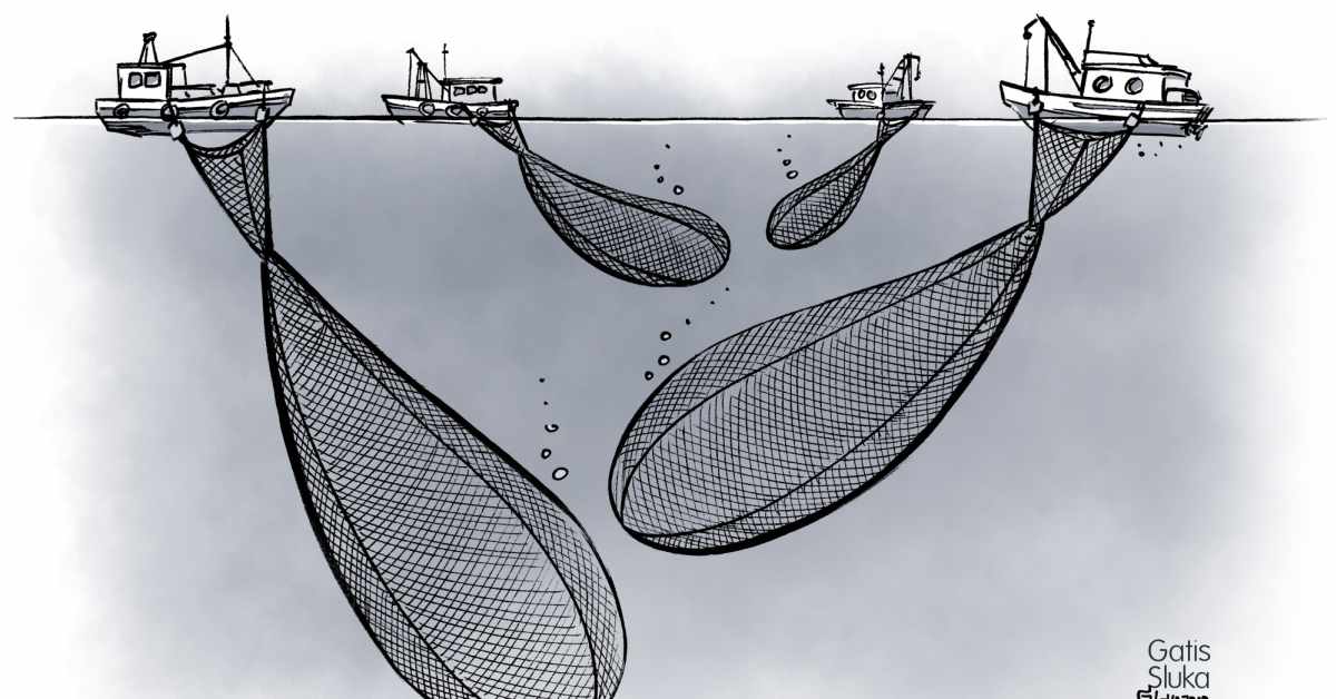 EU’s ‘Toxic Collusion’ Harms Indian Ocean Tuna, Critics Allege - LA ...