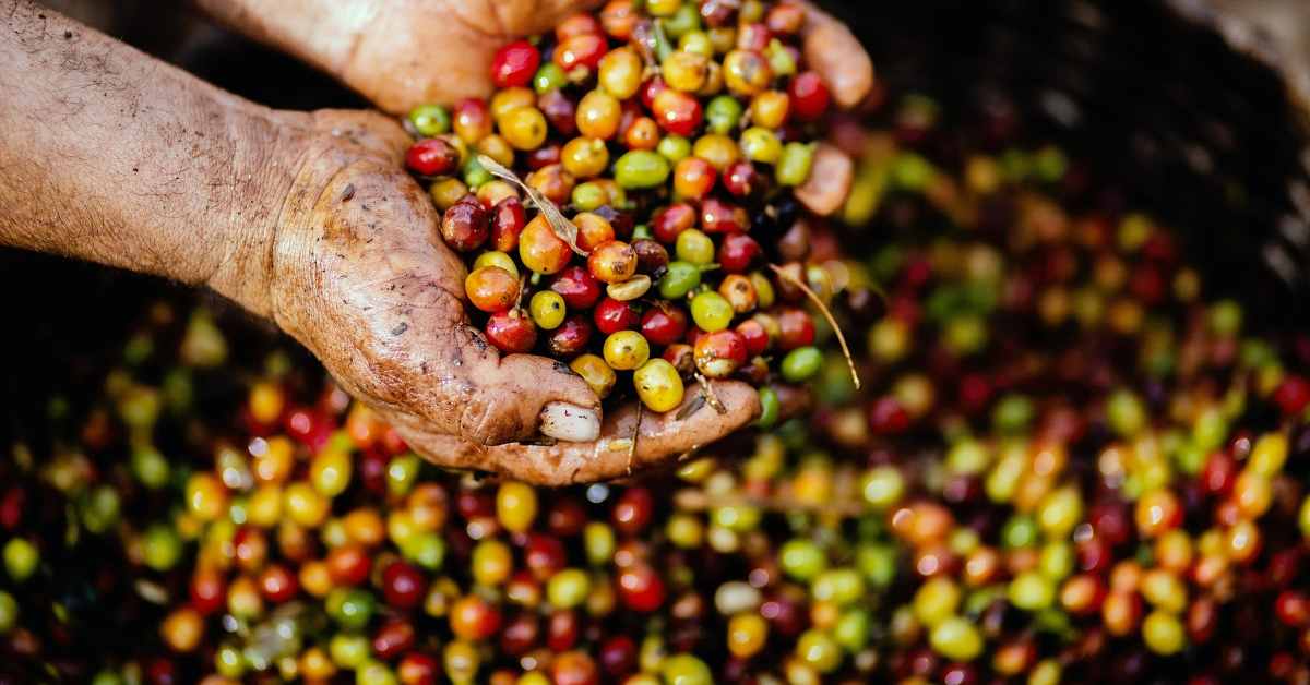 How Organic Farming Helps Counter Climate Change - LA Progressive