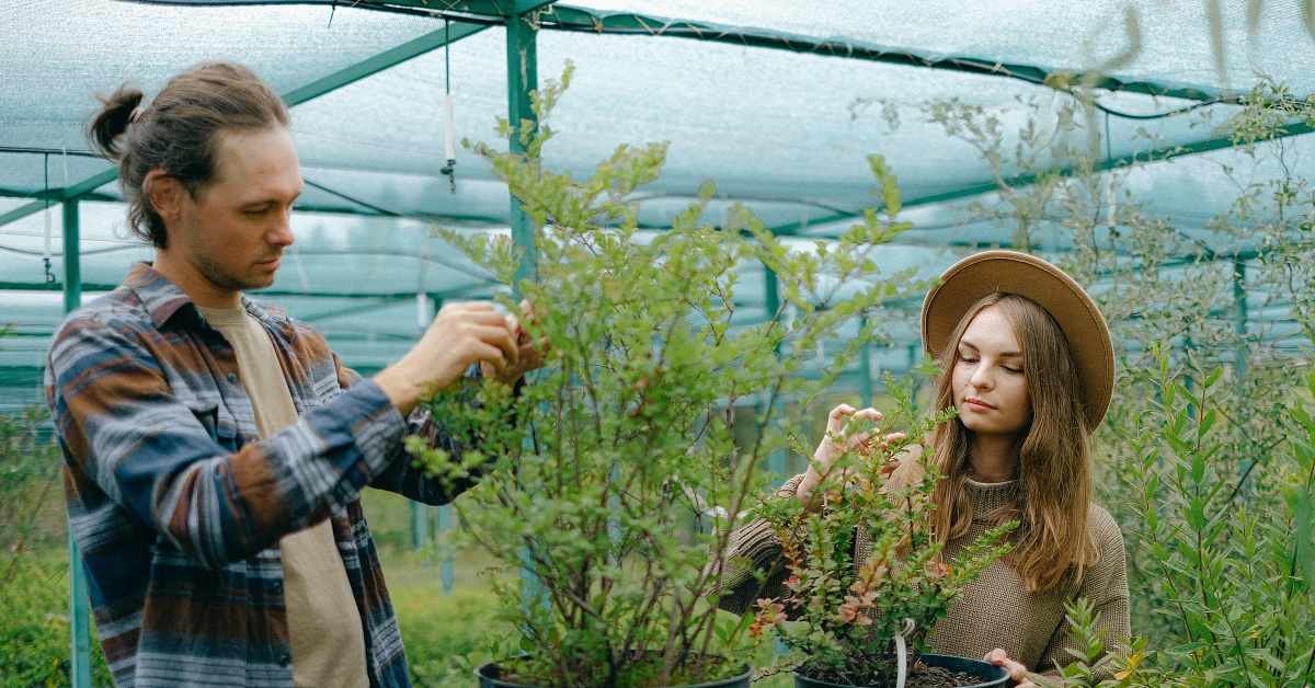 How My Tiny Plot Produced 5,000 Pounds of Food Without Using Manure ...