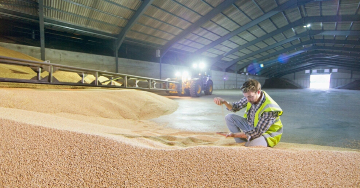 How Much Capital Is Needed to Start a Commercial Grain Farming? - LA ...