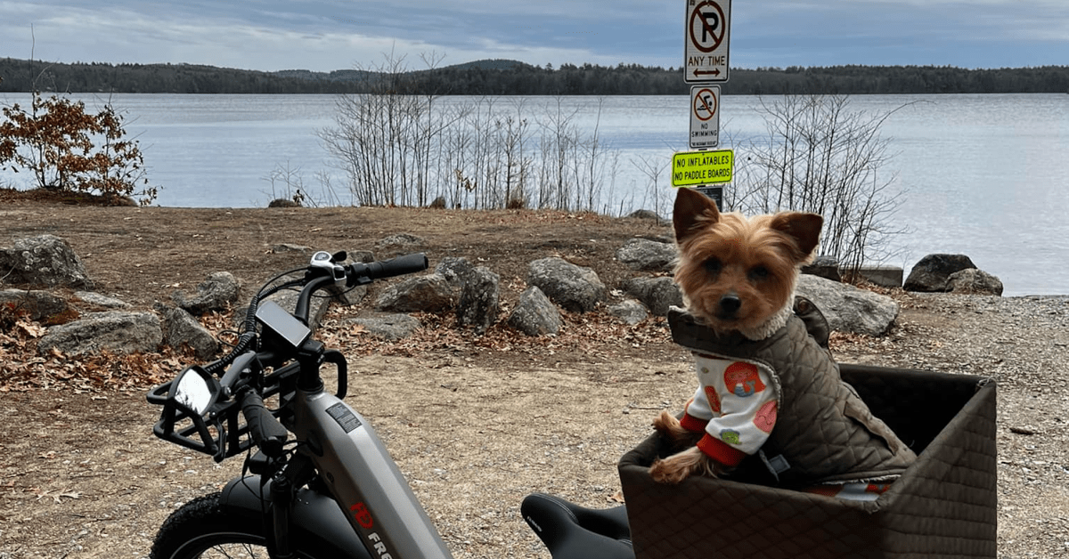 The Future Of Transportation A Closer Look At The Latest E Bike