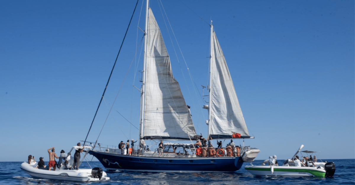 Gaza Flotilla Ship Madleen Begins its Voyage to Gaz - LA Progressive