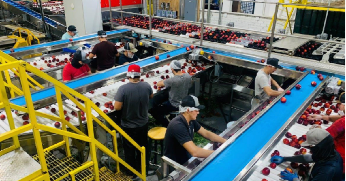 The Changing Face of Work: Automation's Impact on Workers’ Rights & Job ...