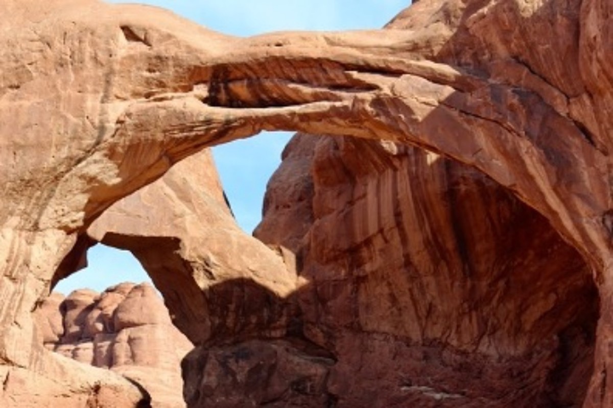 A Moveable Beast - LA Progressive