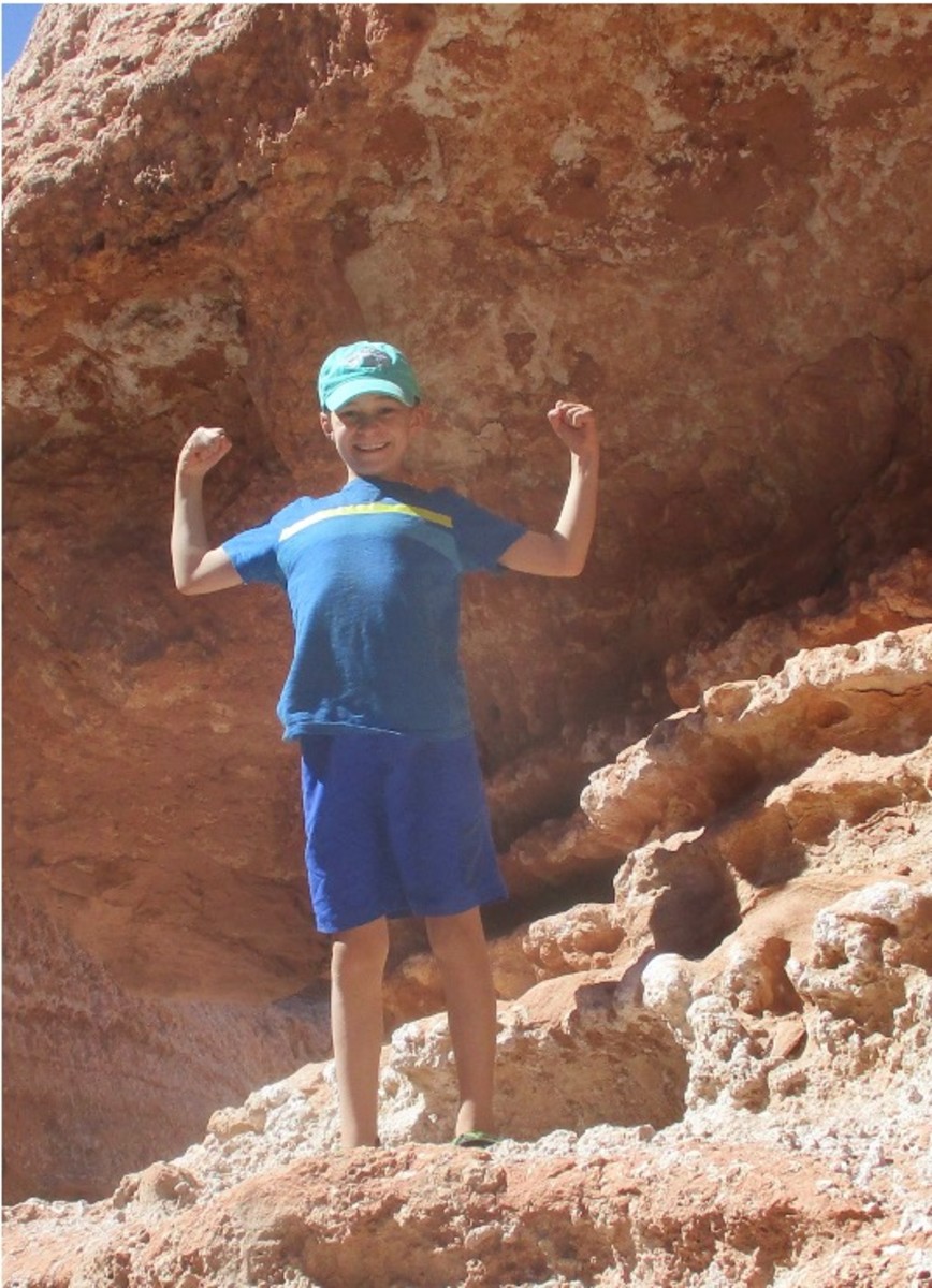 A Moveable Beast - LA Progressive