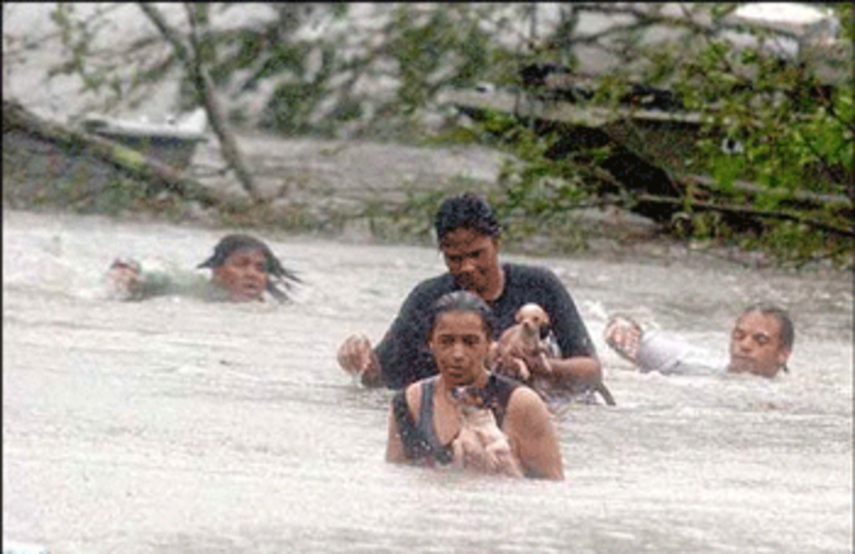 Review of Dave Eggers's "Zeitoun" - LA Progressive