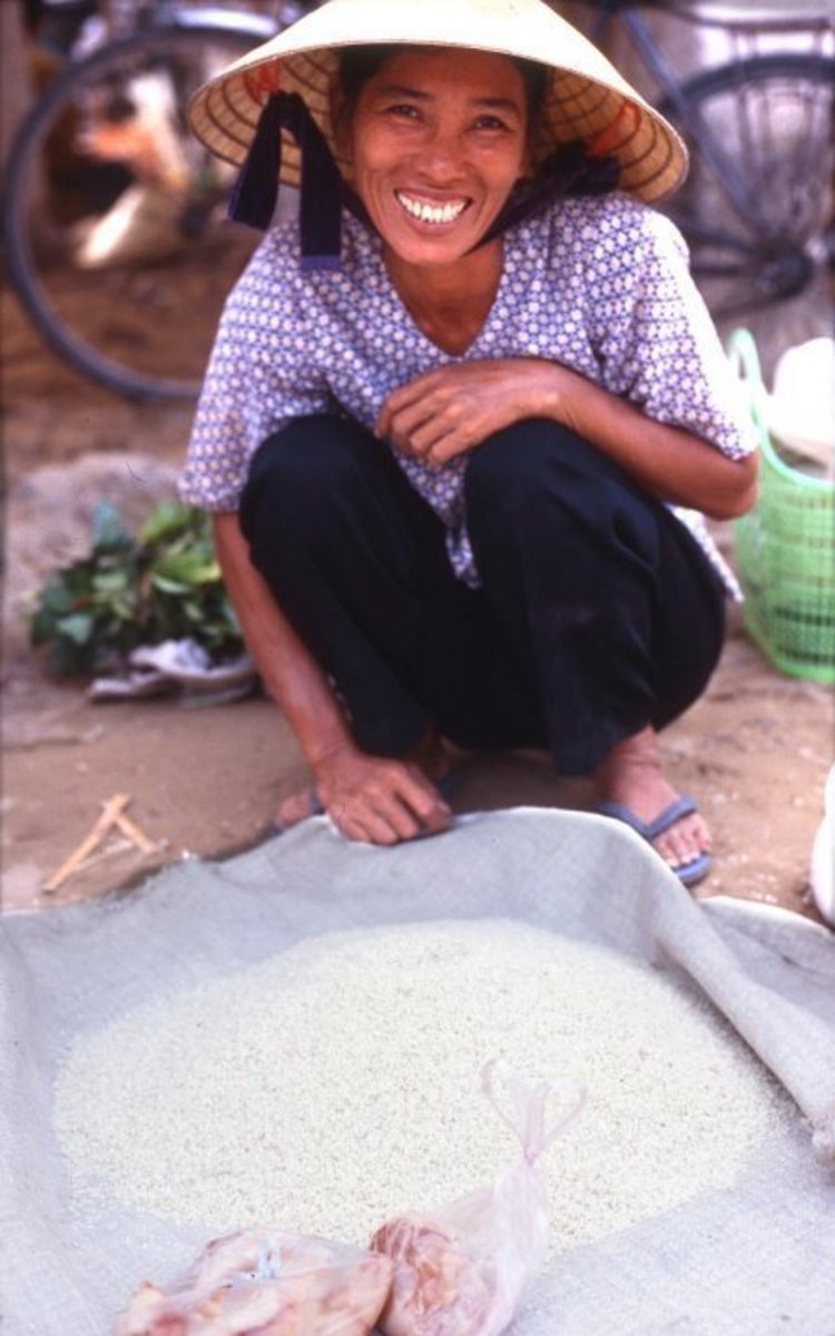 Deep Country, Bats, the Riot of Life in Viet Nam’s Cities - LA Progressive