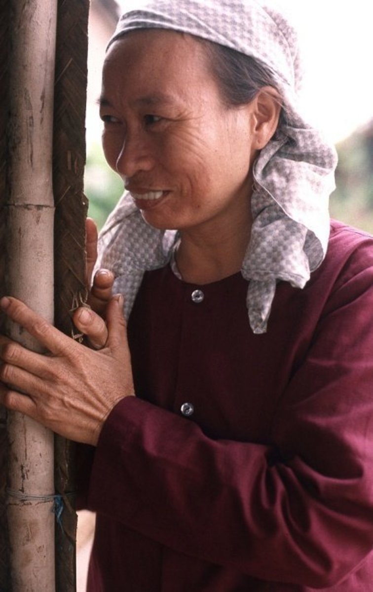 Deep Country, Bats, the Riot of Life in Viet Nam’s Cities - LA Progressive