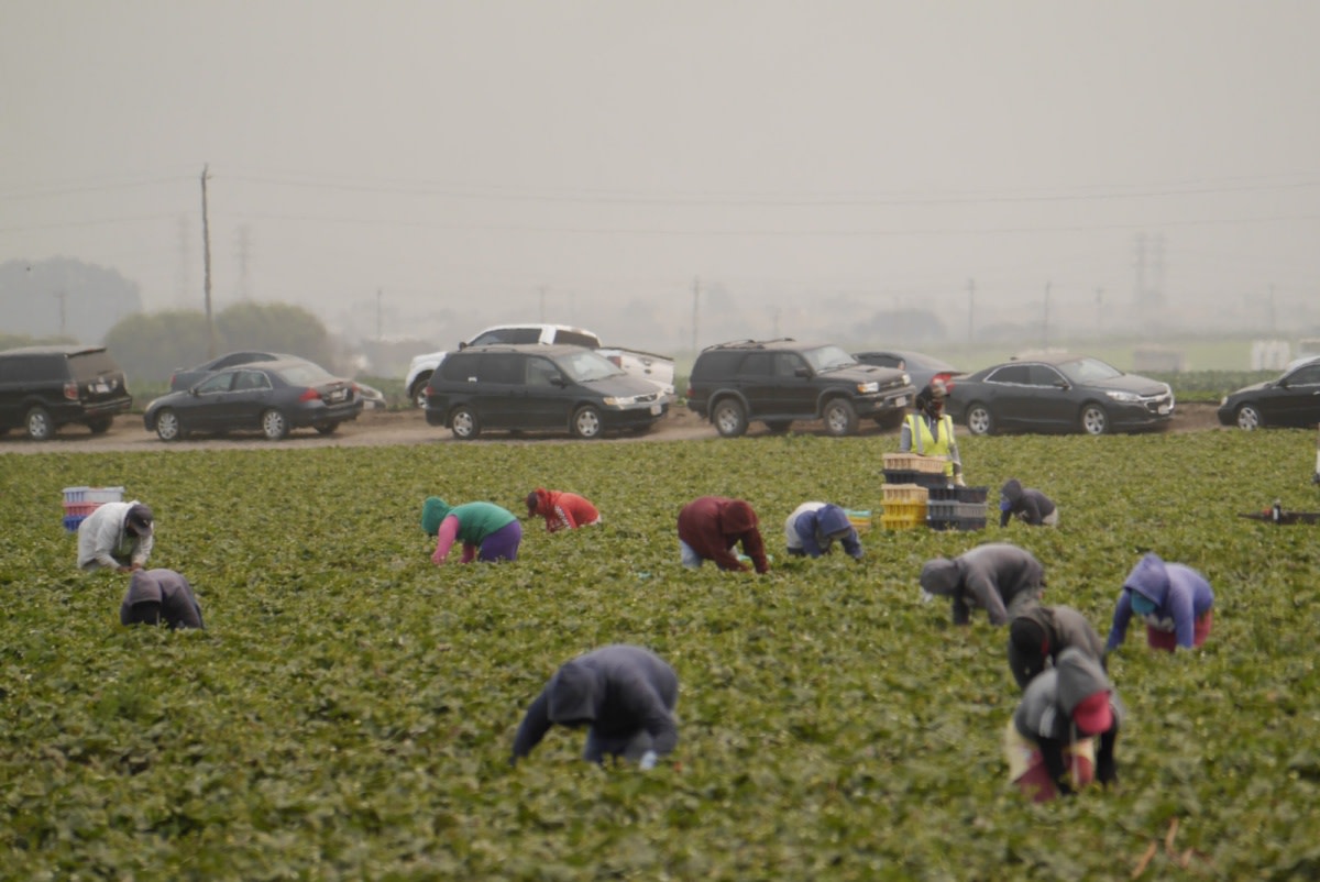 Day Labor: Unspoken Second Responders to Disaster - LA Progressive