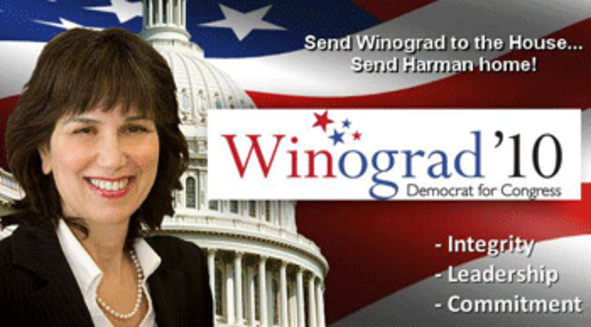 Marcy Winograd Kicks Off Congressional Race - LA Progressive