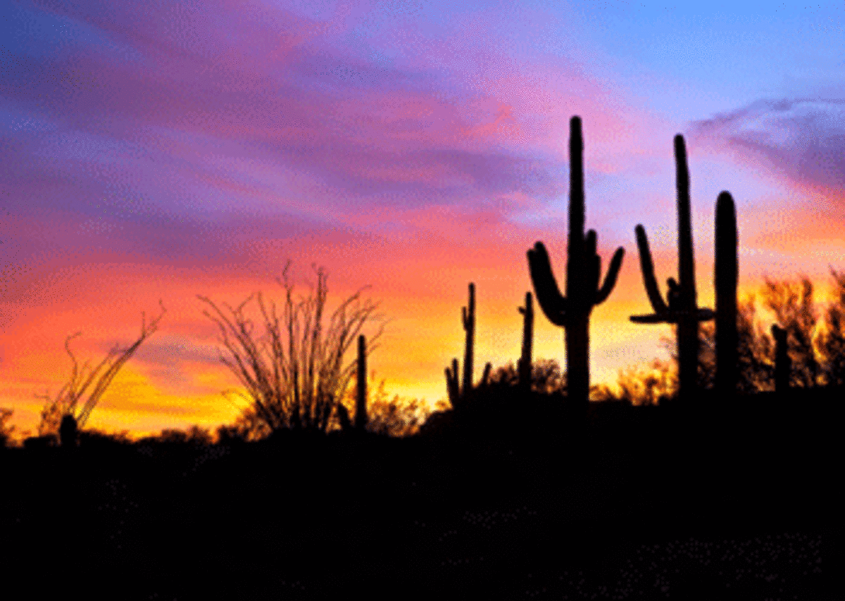 What’s the Matter with Arizona? - LA Progressive