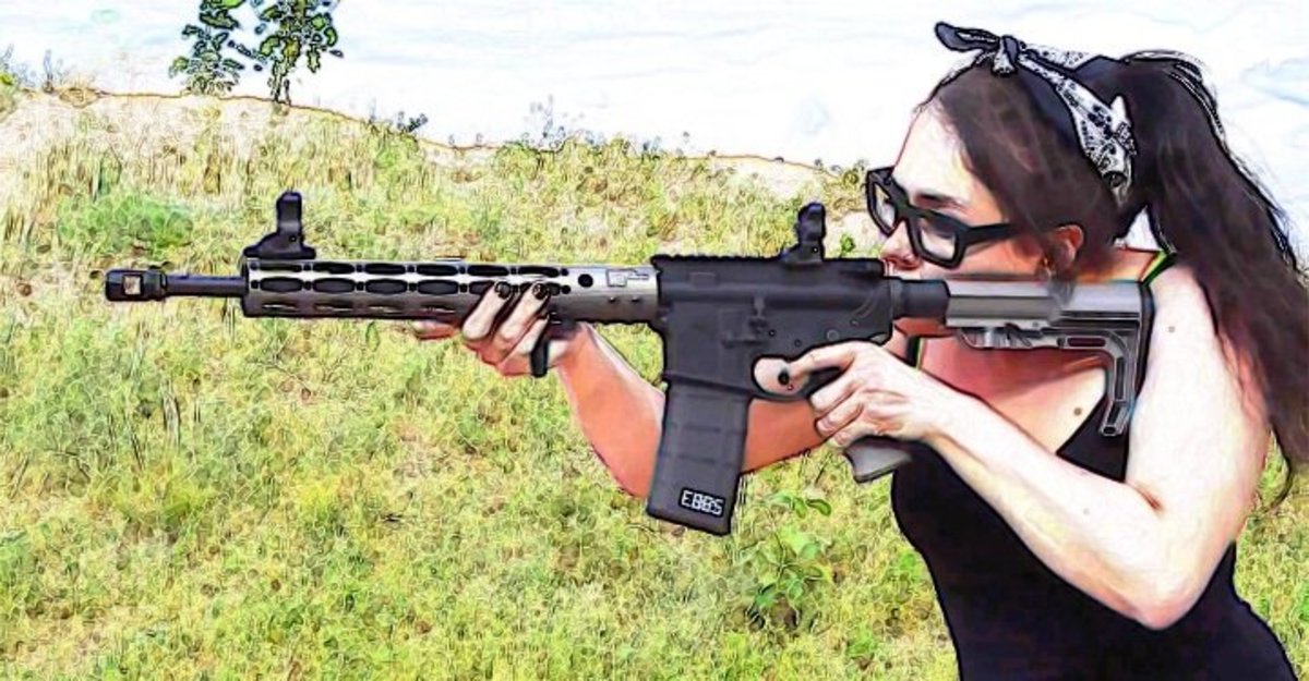 “F*ck You, I Like Guns” - LA Progressive