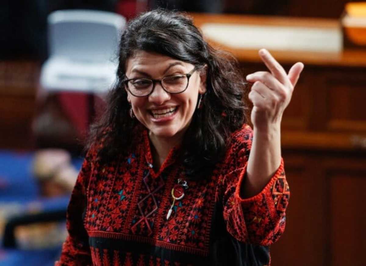 Rashida Pushes Back on Centrist Finger Pointing - LA Progressive