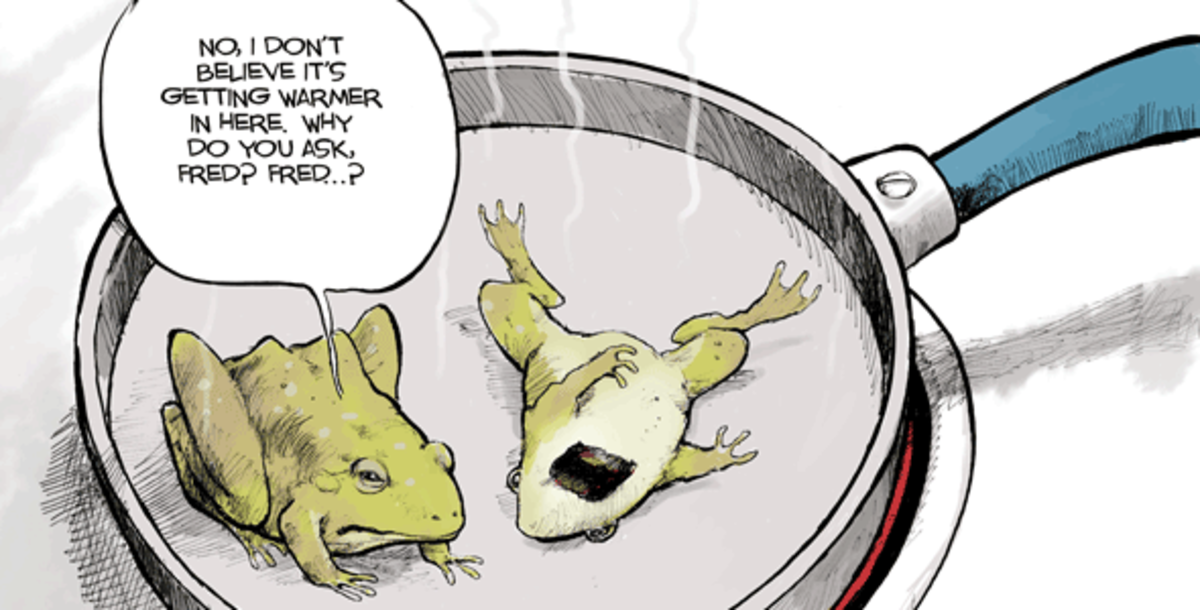How to Boil a Frog - LA Progressive