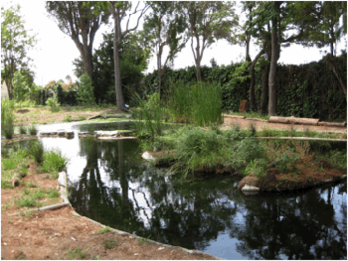 Native American Culture in Los Angeles - LA Progressive