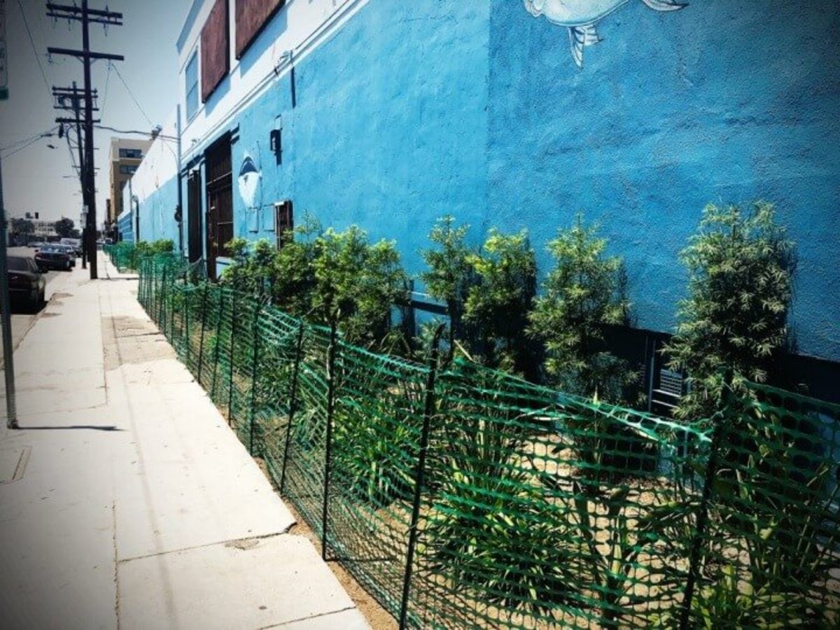 No Walk in the Garden for the Urban Homeless - LA Progressive
