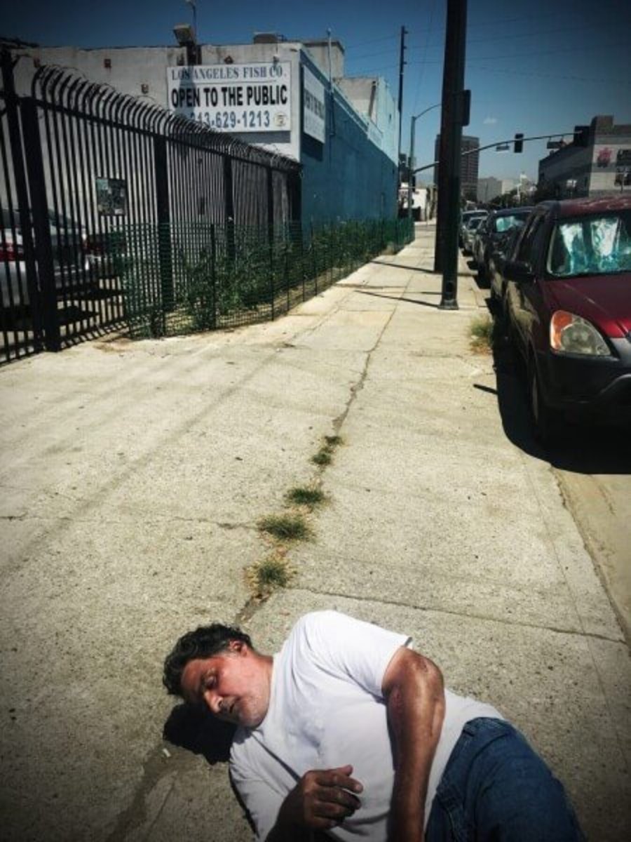 No Walk in the Garden for the Urban Homeless - LA Progressive