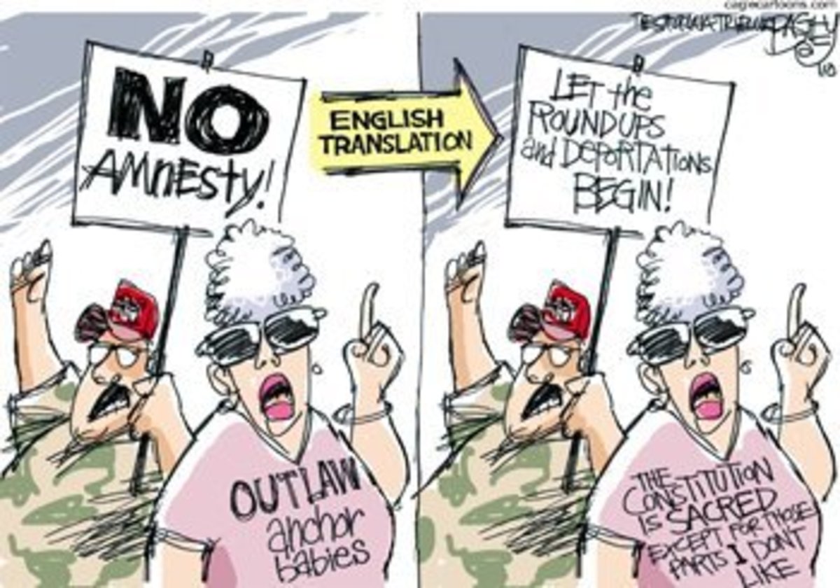 Ninth Amendment Political Cartoon