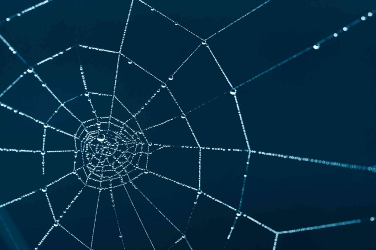 Spirals of Becoming: The Search for a Dialectical Spiral in the ...