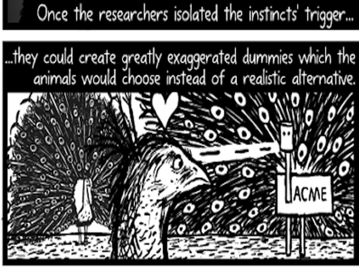 Supernormal Stimulus and Buggy Software - LA Progressive