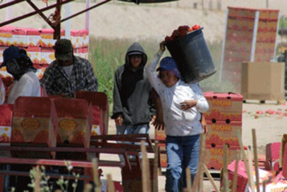 New Bracero Program - LA Progressive