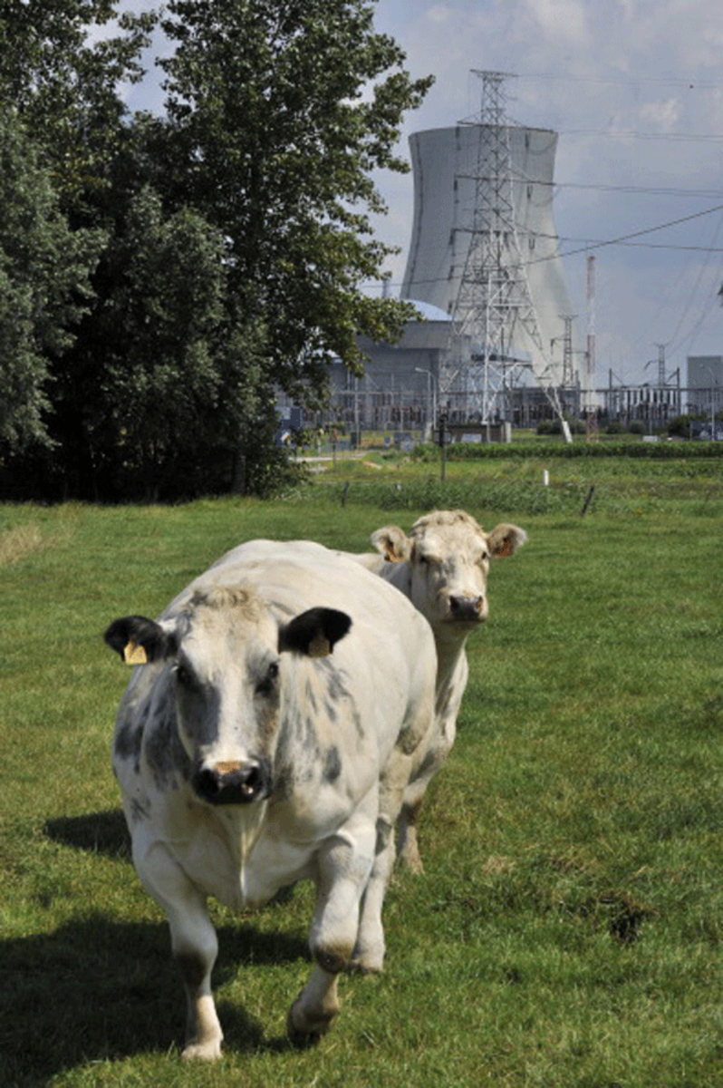 Breaking Into Nuclear Power Plants - LA Progressive