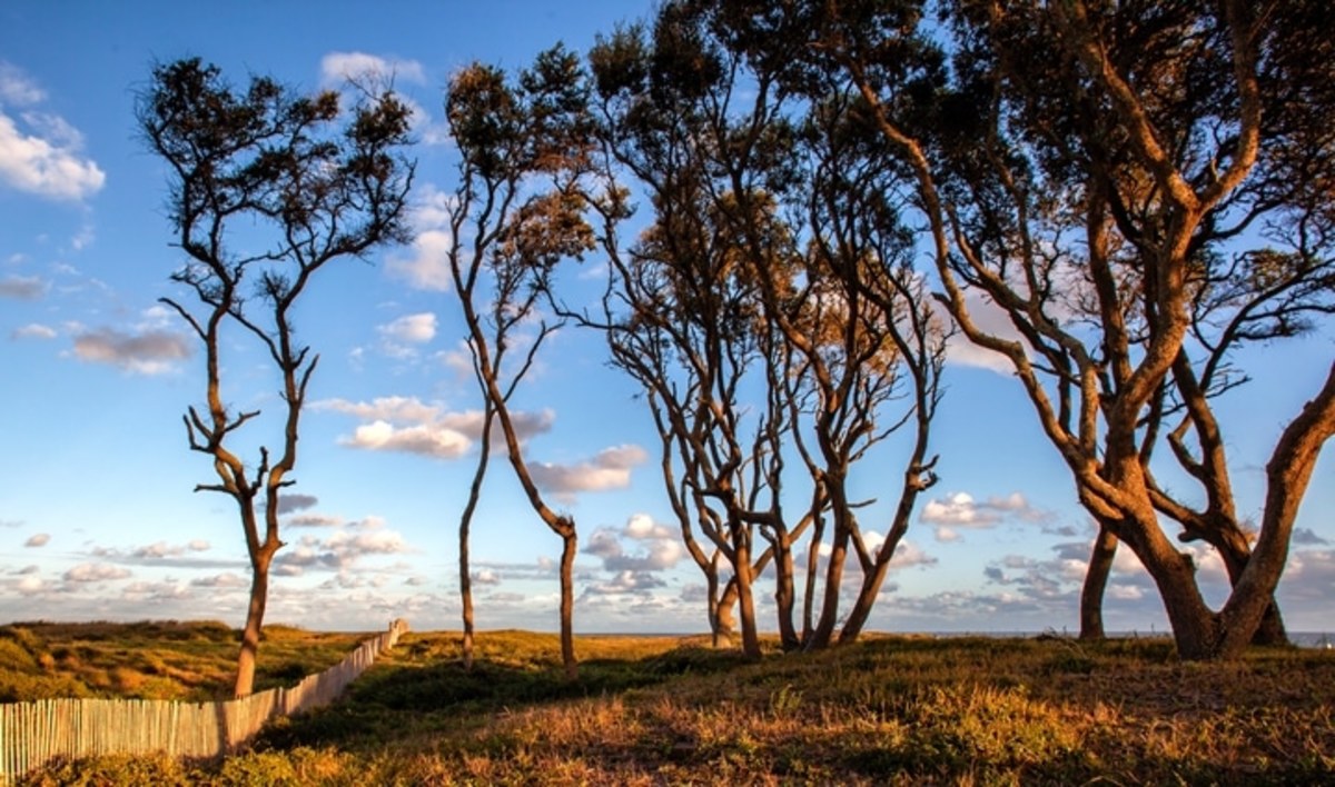 %%title%% read here %%page%% %%sep%% %%sitename%% - LA Progressive