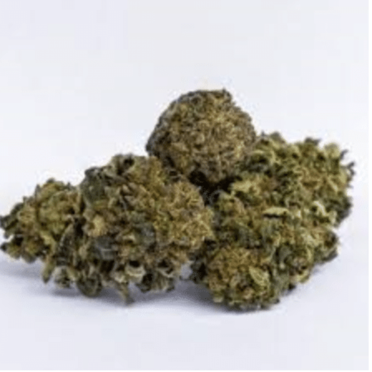 The Top Hemp Flower Strains in 2020 - LA Progressive