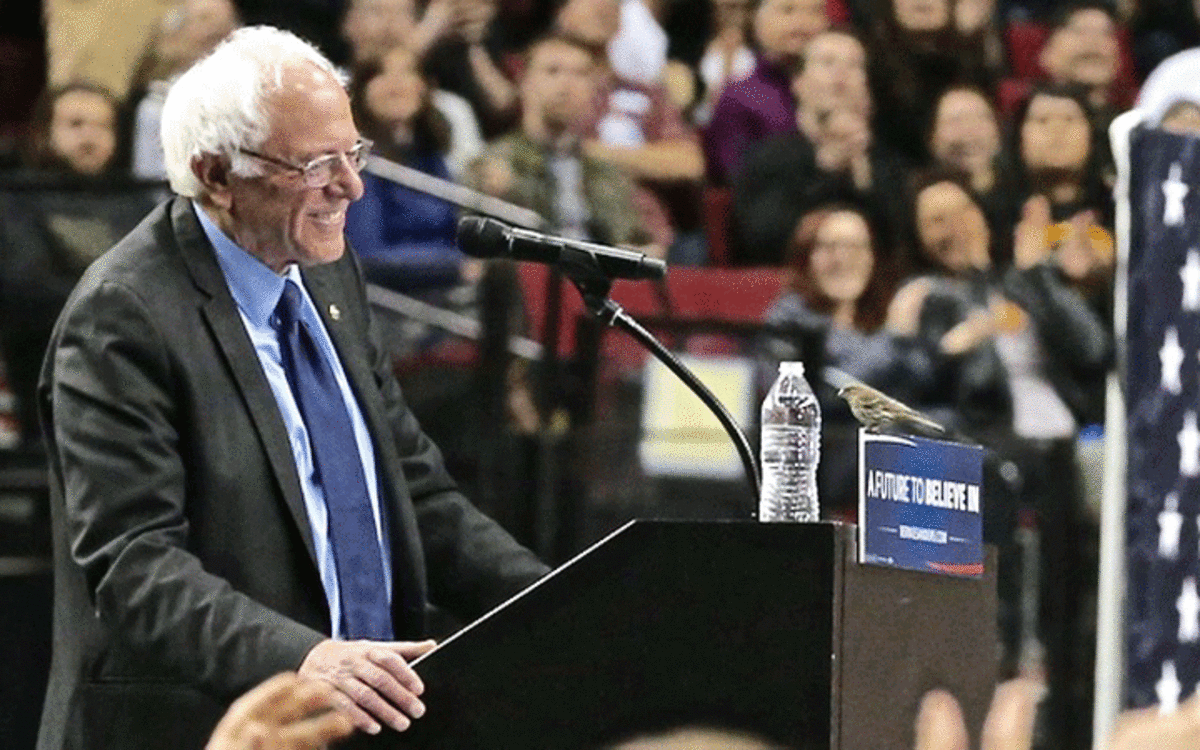 Bernie's Magic - LA Progressive