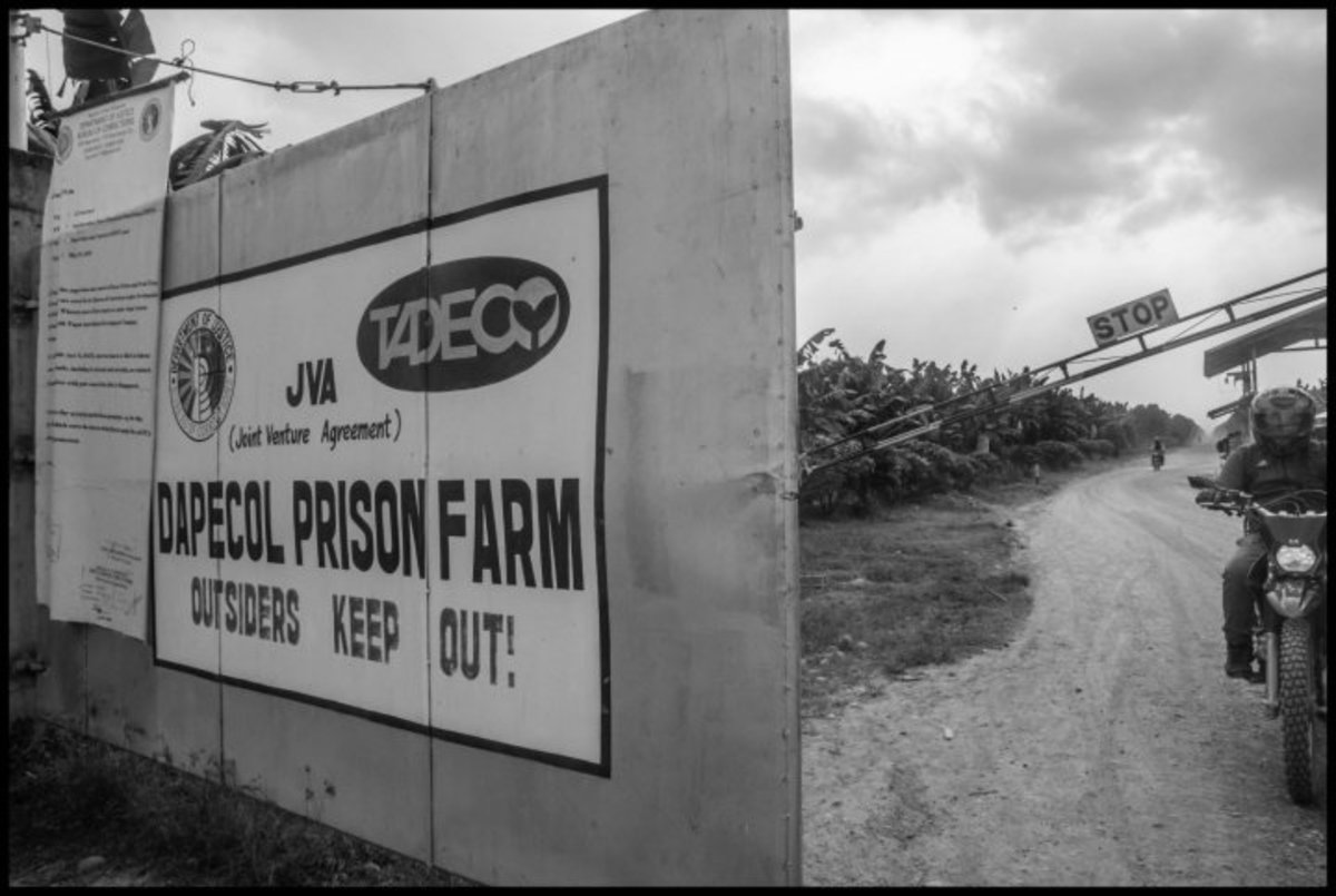 Philippine Banana Farmers: Their Cooperatives and Struggle for Land ...