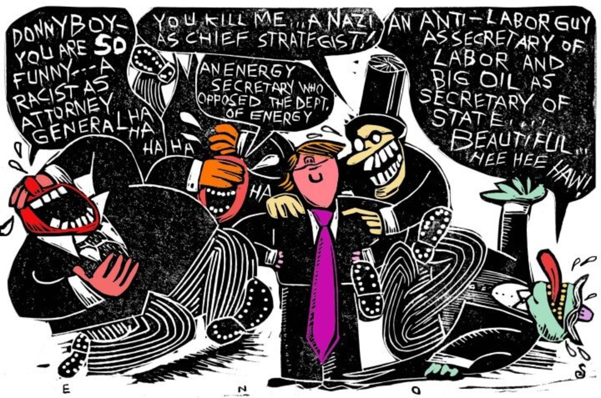 25th Amendment Cartoon