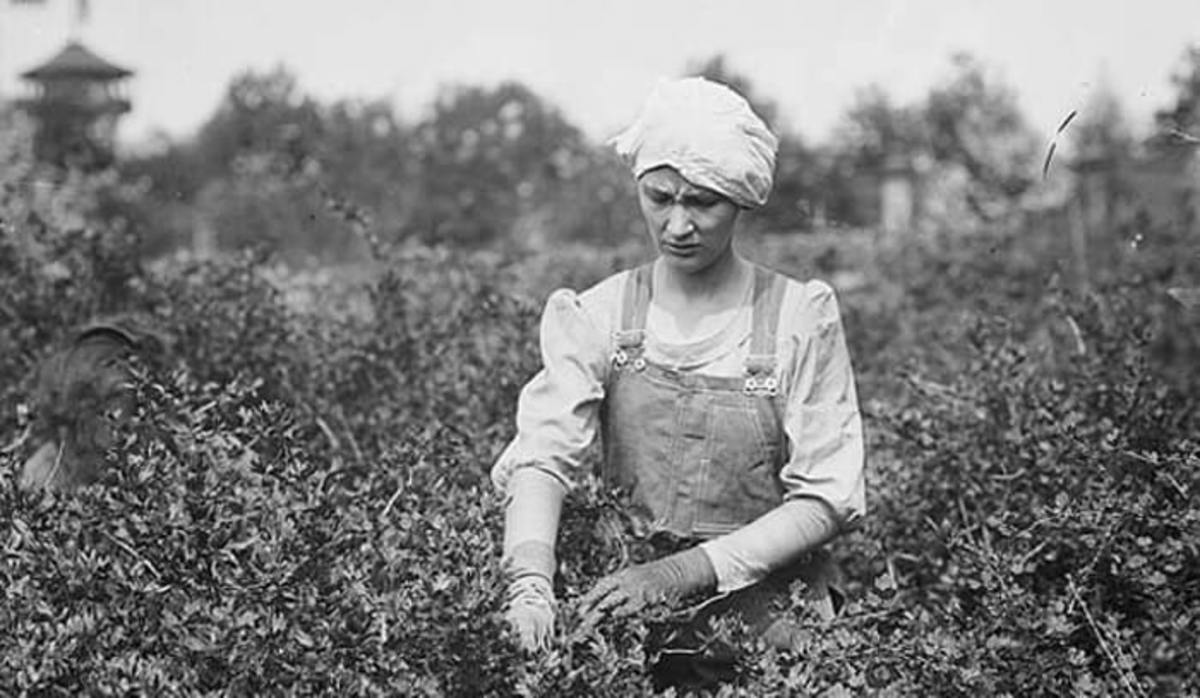 German-American Farmers - LA Progressive