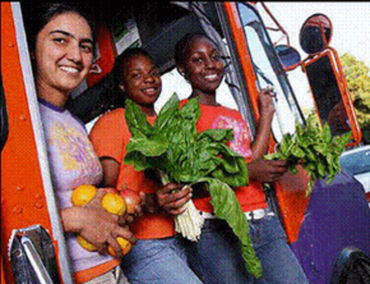 Trusting LA British Food Invasion - LA Progressive