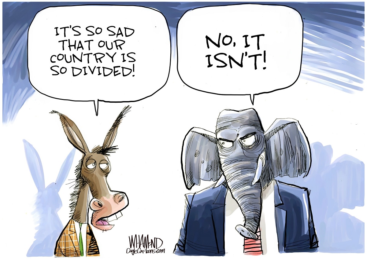 All This "Polarization?" Cause or Symptom? - LA Progressive