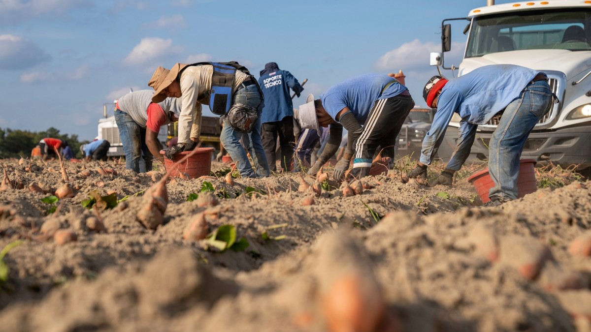 The Injustice Farm Workers Face - LA Progressive