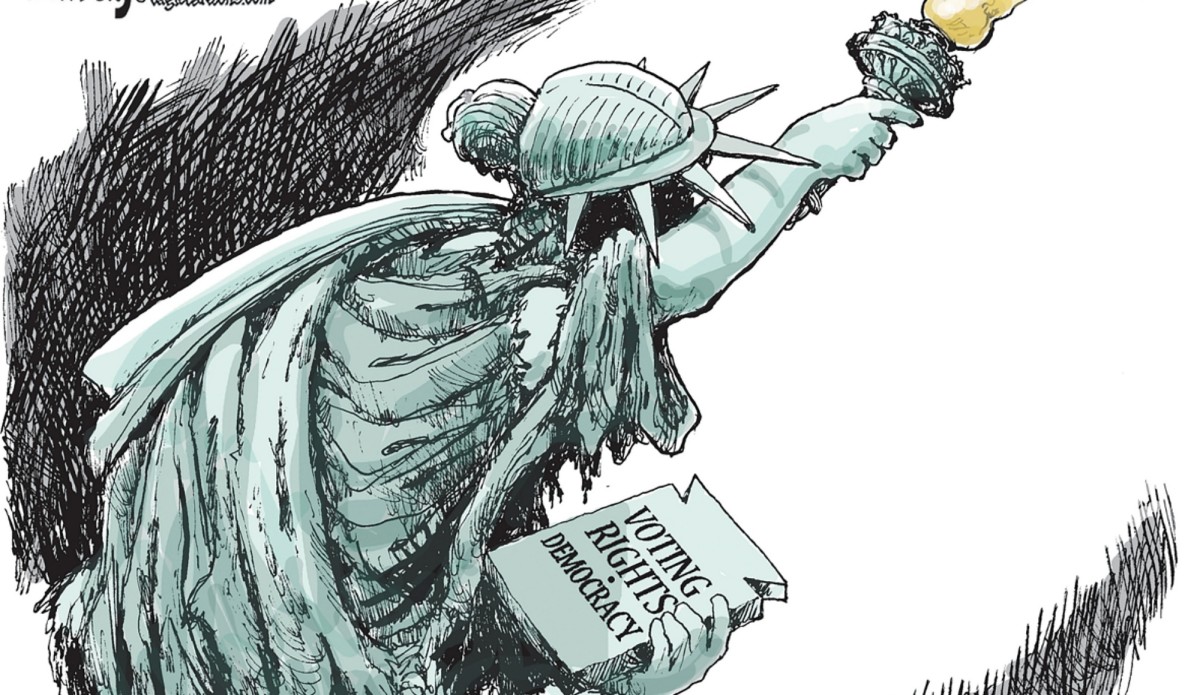 What's Up with the Anti-Democracy Movement - LA Progressive