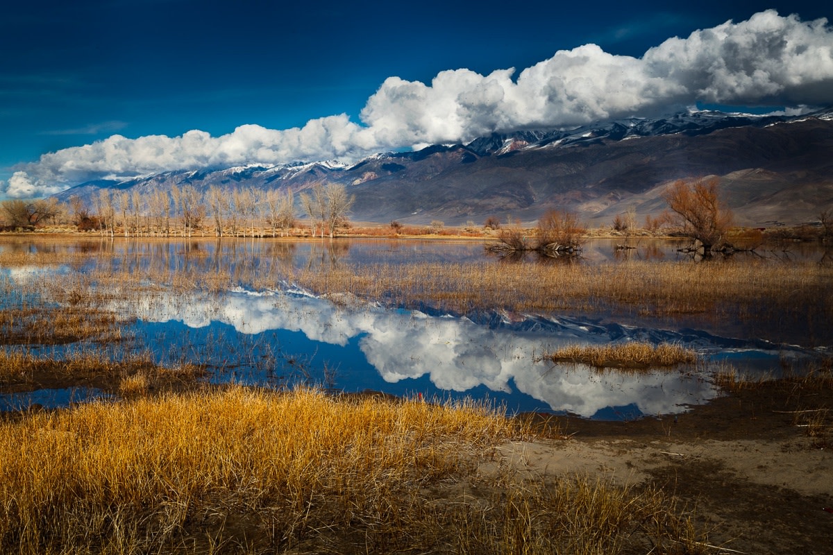 The Rape of Owens Valley - LA Progressive