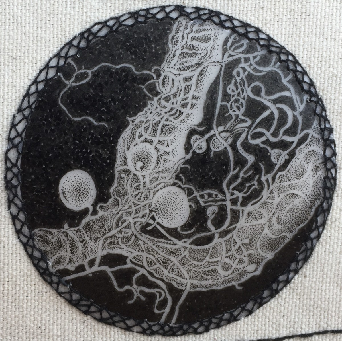 Climate Policy’s on Shaky Ground in the Farm Bill - LA Progressive