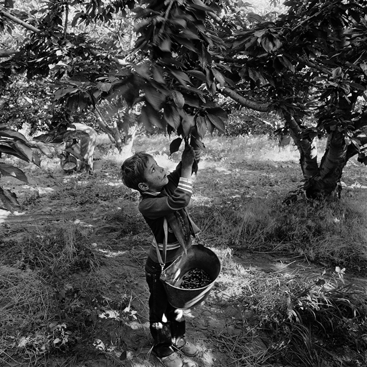 Photographing the Harsh Reality of Child Labor in the U.S. - LA Progressive