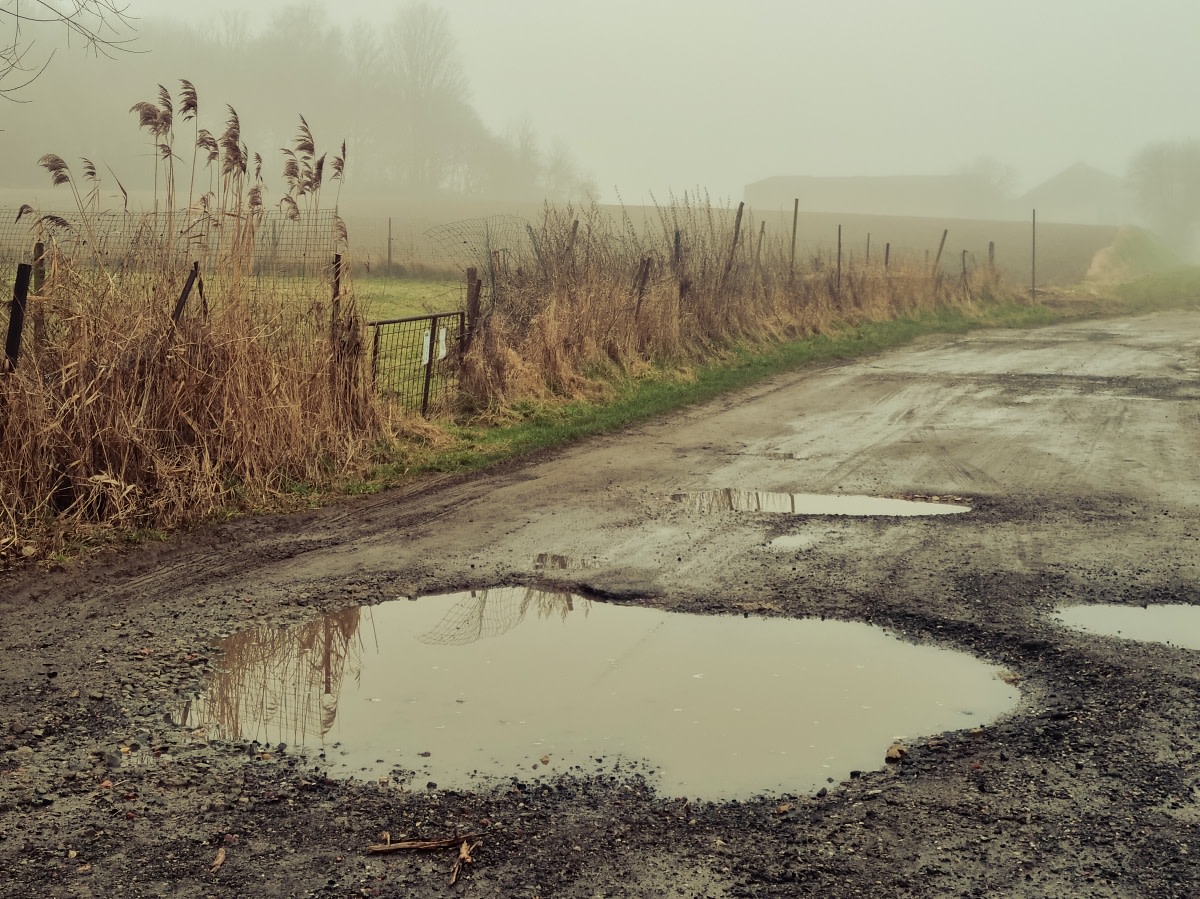 The Pothole Predicament: Insights from Around the World - LA Progressive