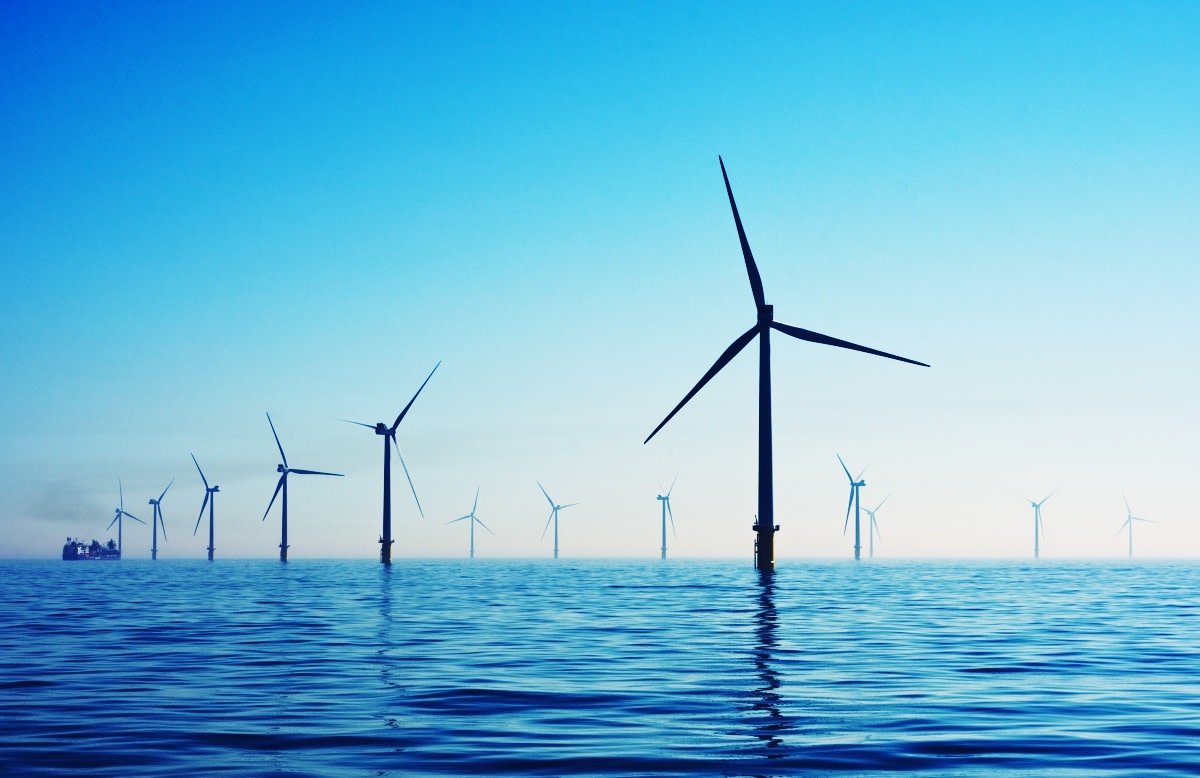 Reaping the Whirlwind - LA Progressive