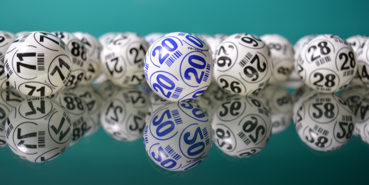 Play Online Bingo for Real Money- All You Need to Know! - LA Progressive