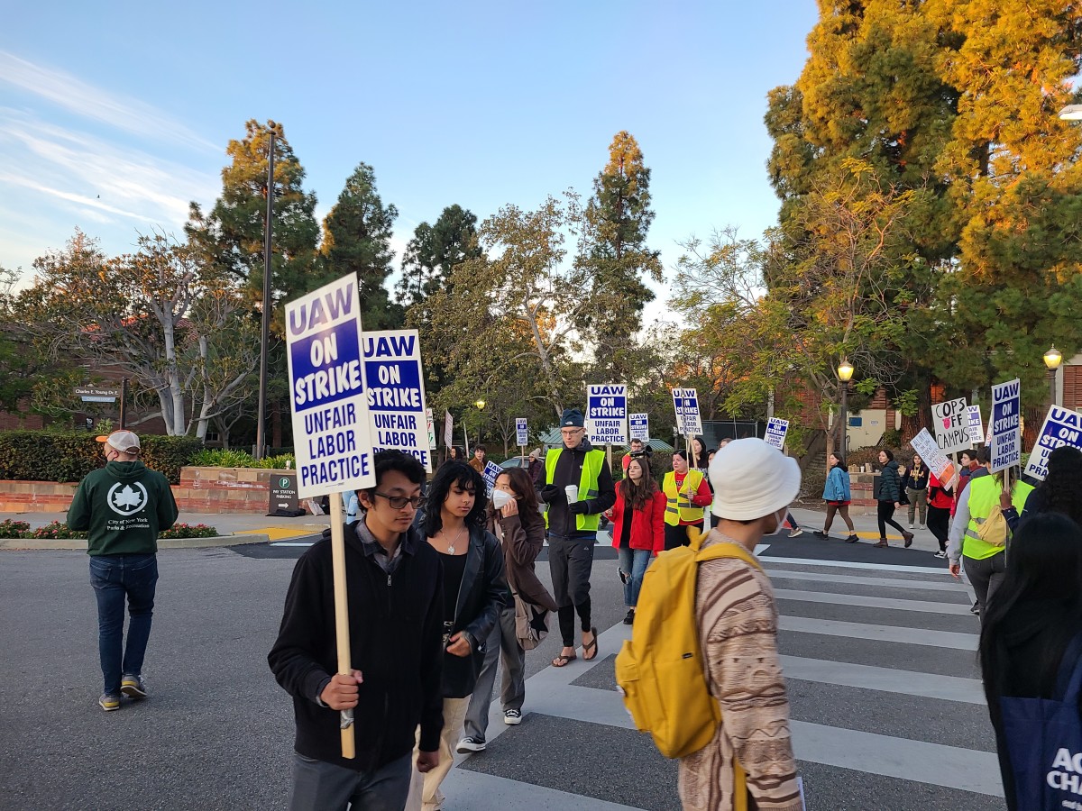 UAW Picketing Continues at UCLA and All UC Campuses - LA Progressive