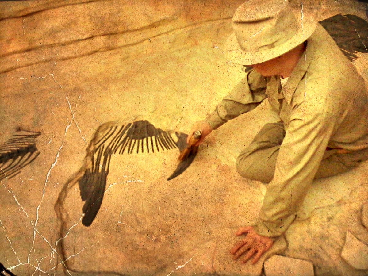 Ancient Roots: Organizing Humanity’s Universal Heritage - LA Progressive