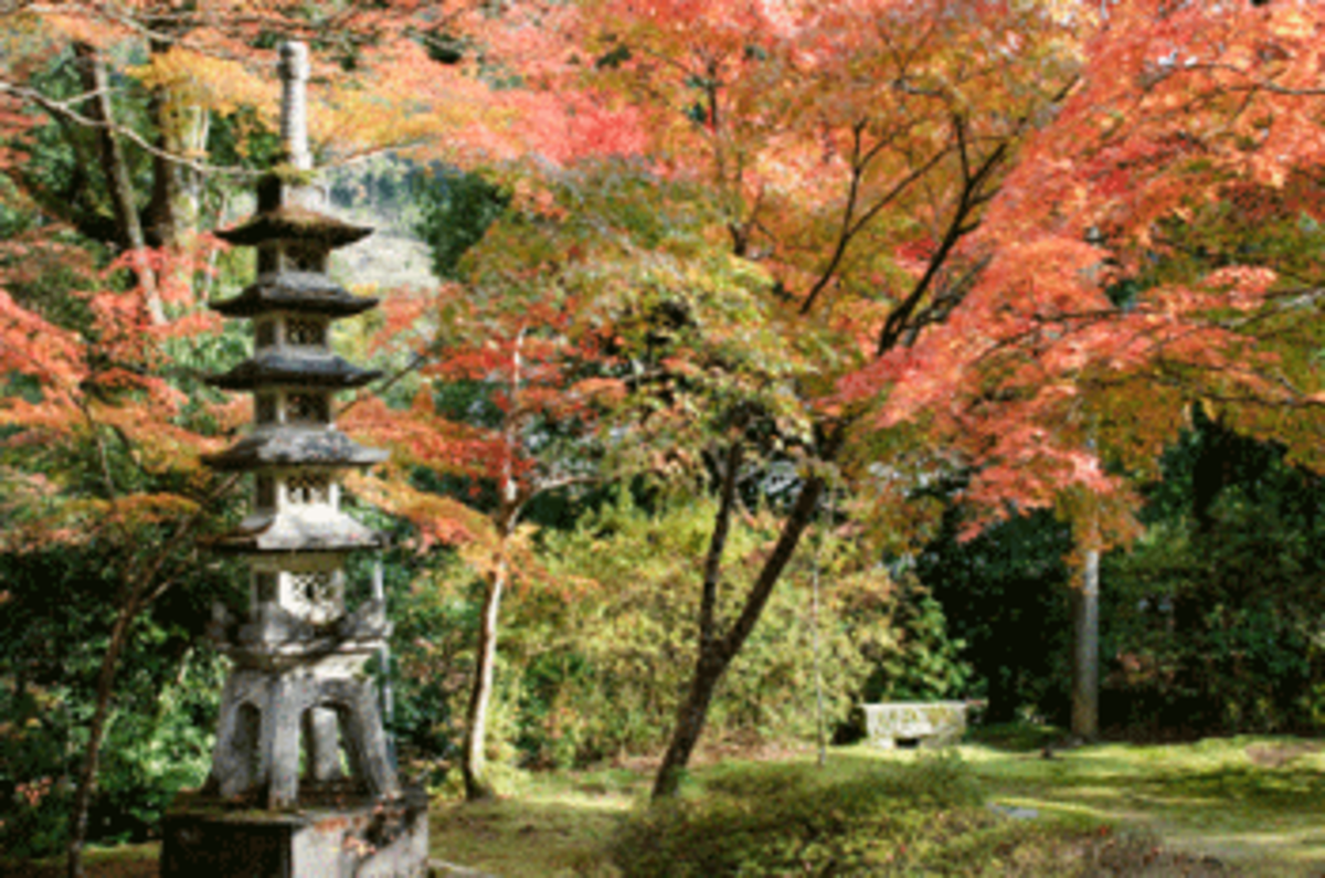 Why Kyoto Is So Beautiful - LA Progressive
