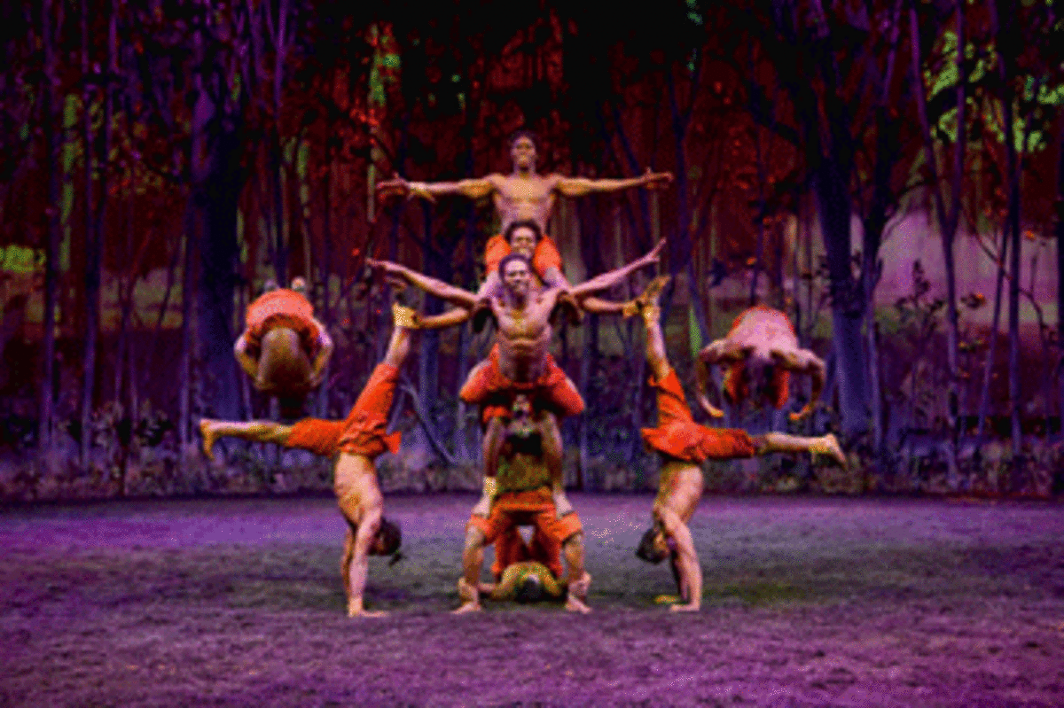 Cavalia’s Odysseo: A Show Unlike Any Other - LA Progressive