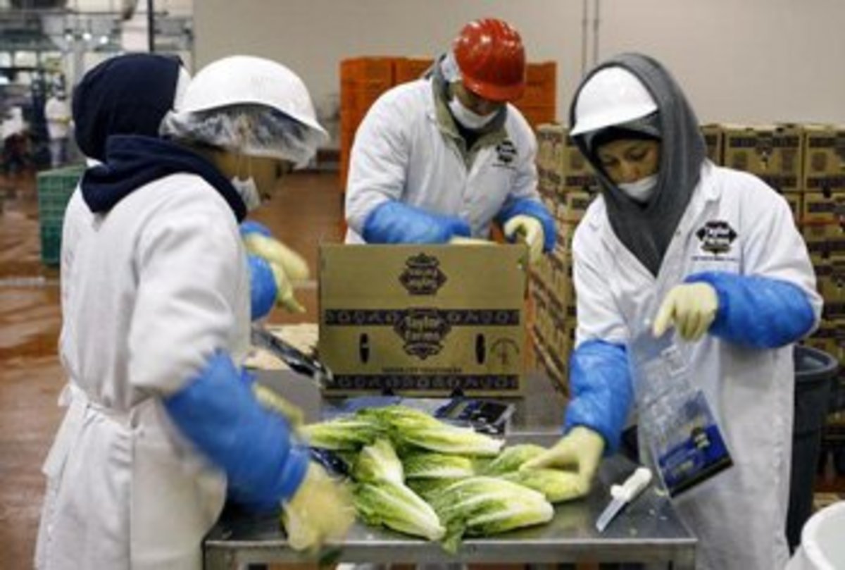 Taylor Farms labor practices - LA Progressive